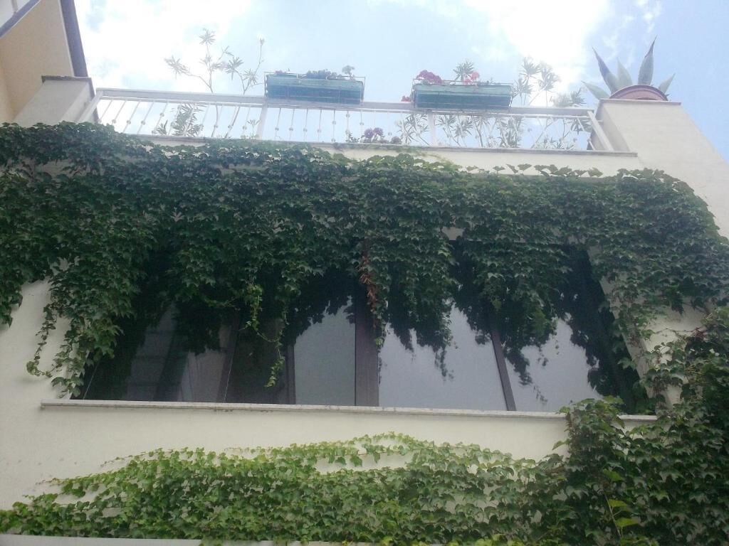 Detalhe da fachada