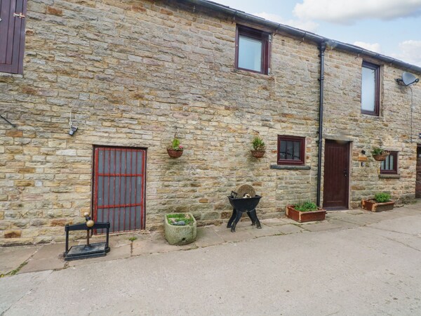 Swallows Return - Rudyard Lake
