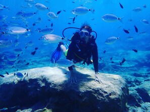 Piscina externa sazonal