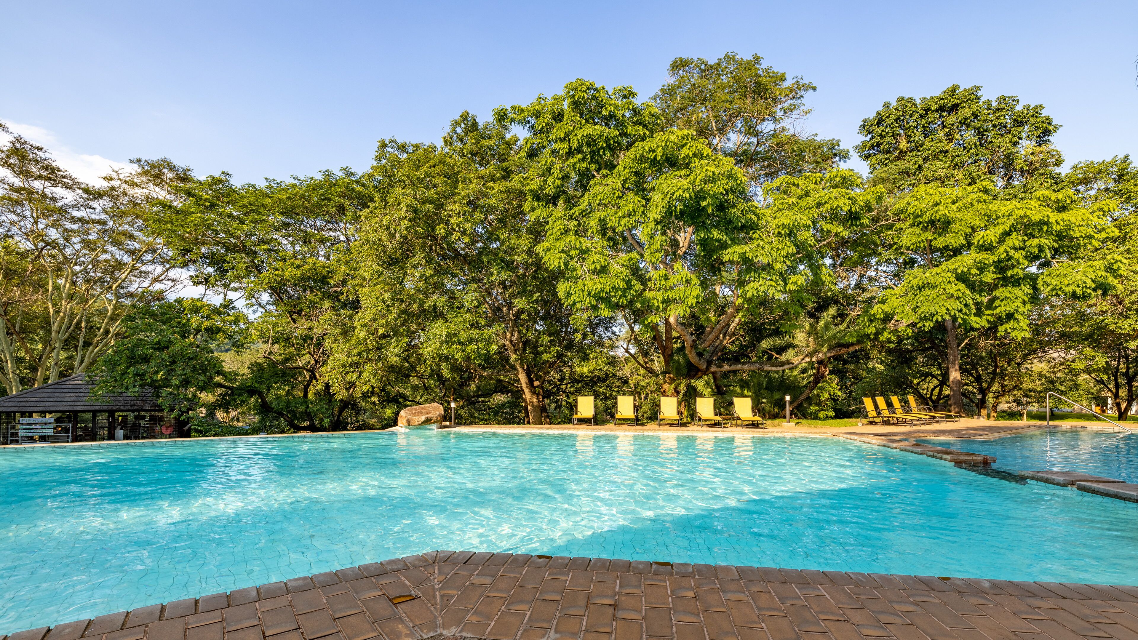 Piscina com água azul cristalina, rodeada por árvores verdes exuberantes e um deck de tijolos.