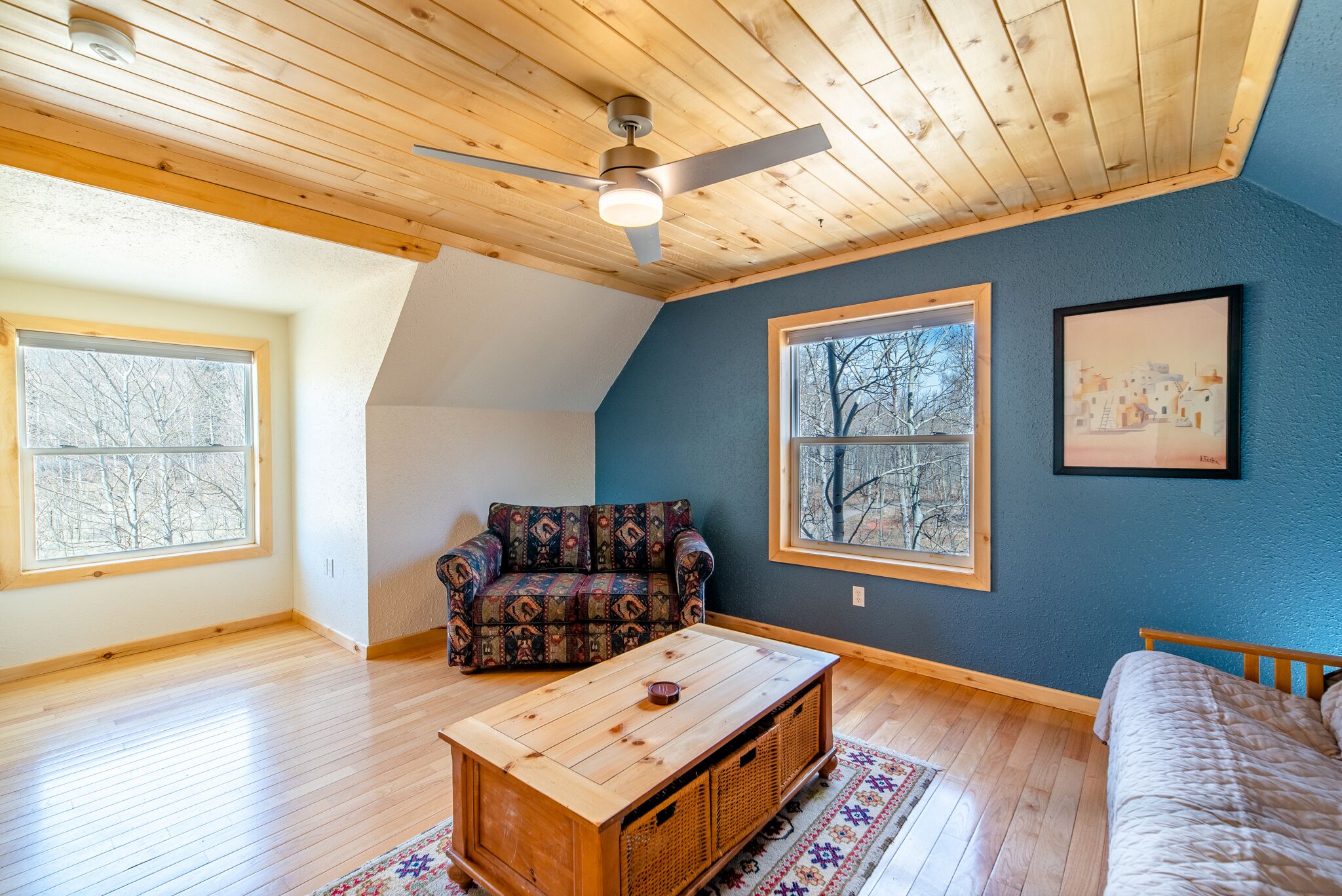 Special! Pet Friendly Home W/hot Tub, Wifi, Spacious Fenced Yard - Heart Of The Aspens - Fairplay, CO