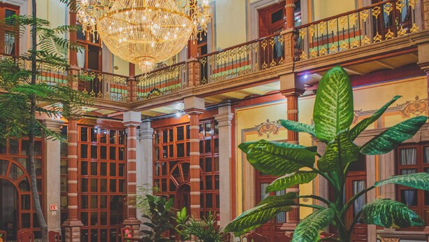 Um hall amplo com um grande candelabro, diversas áreas de estar e uma variedade de plantas em vasos.