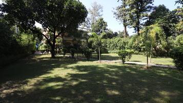 Jardim