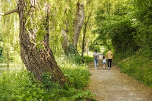 Uma trilha serpenteia por uma área arborizada, com árvores e vegetação.