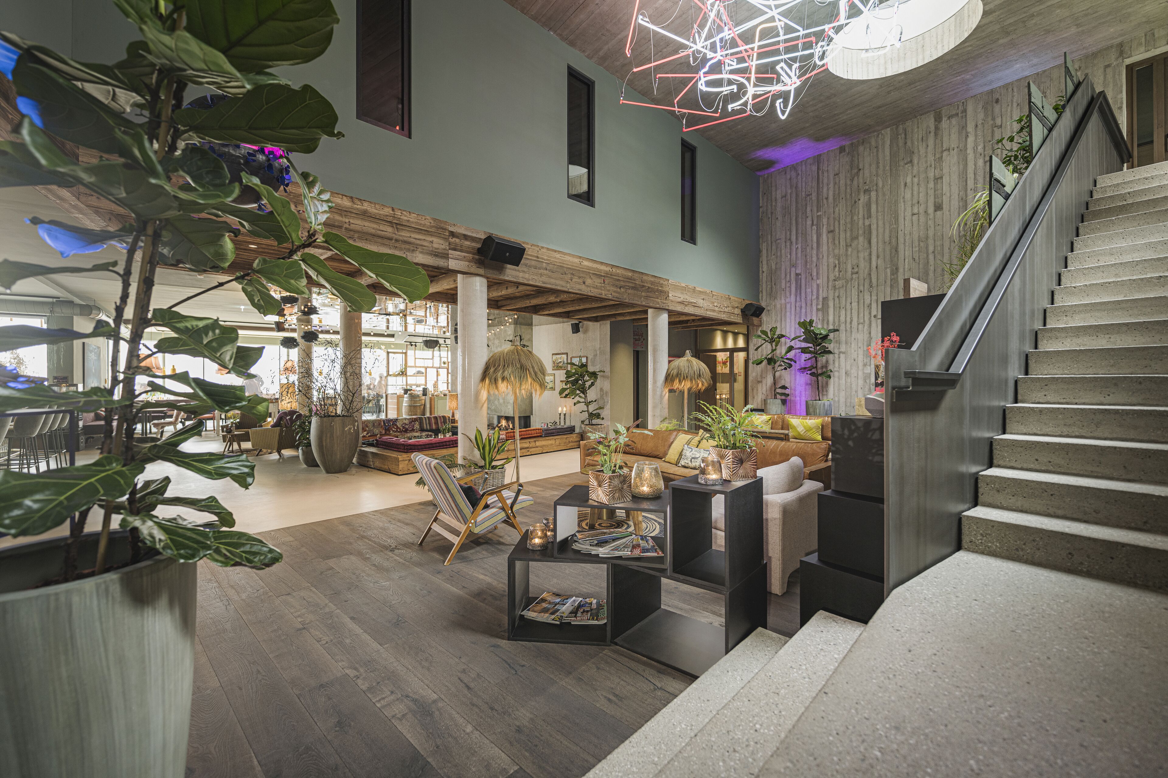 Ampla sala de estar com escada, piso de madeira e diversas plantas.