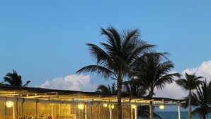 Um bar à beira-mar com móveis de madeira e palmeiras, com vista para o oceano.