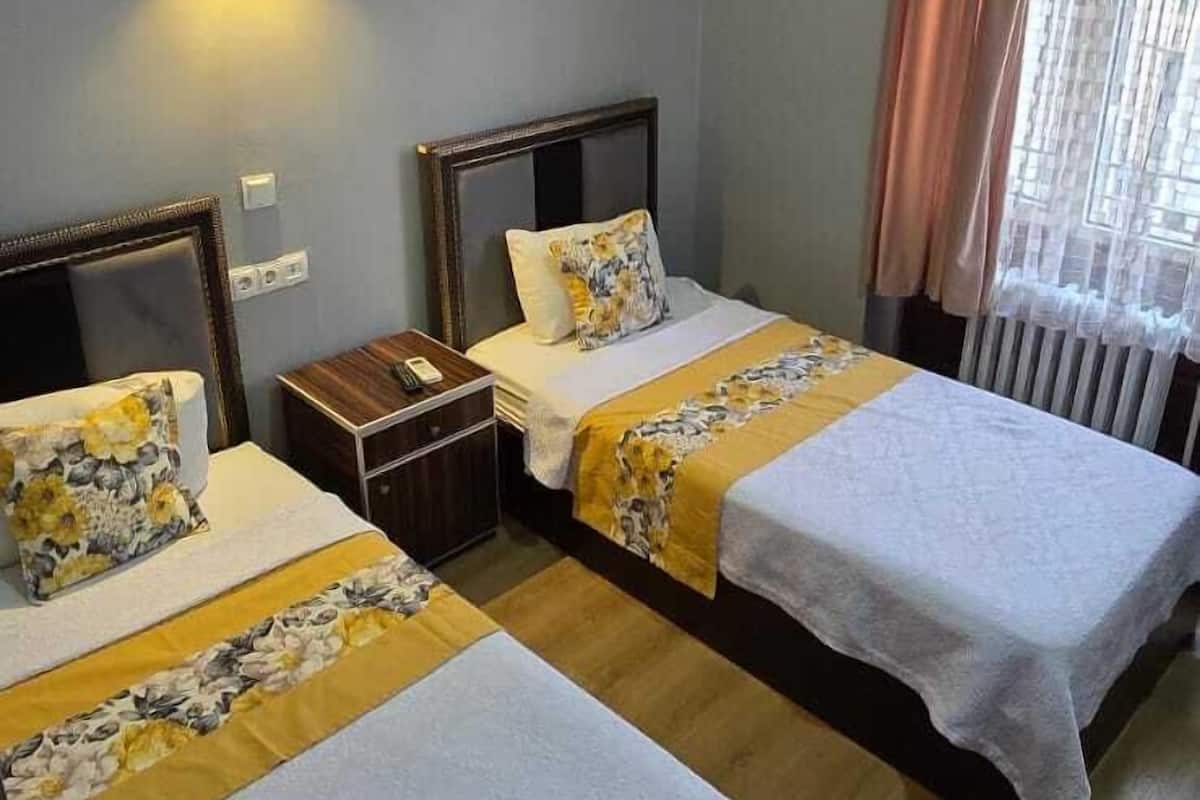 Quarto duplo luxo | Frigobar (abastecido com alguns itens grátis), Wi-Fi de cortesia