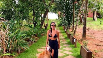 Comodidades para animais de estimação