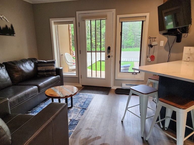 Modern New Renovated Bathroom, Wifi, Pool, New Kitchen Summer Of 24! Sleeps 4. - Michigan