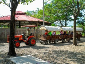 Um trator puxando uma carroça coberta com passageiros, um abrigo e árvores em um parque.