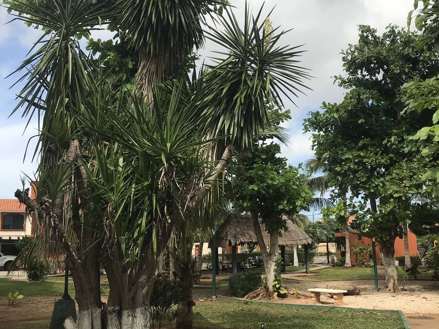 Terraço/pátio