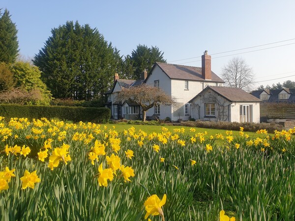 Lower House B&b - Herefordshire