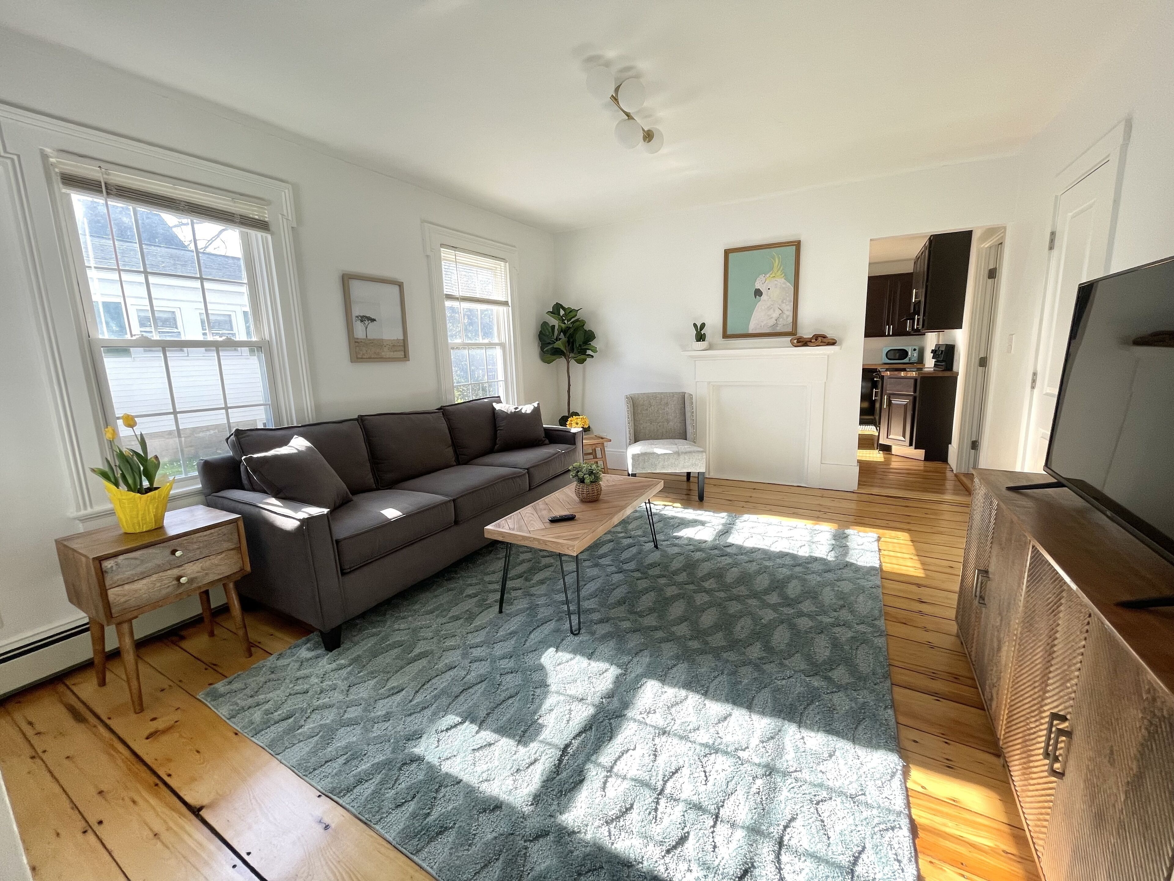 Classic New England 1st Floor 3 Br Downtown Brunswick - Brunswick, ME