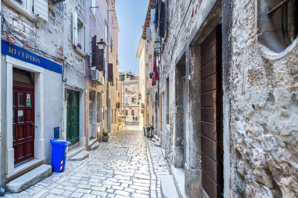 Apartamento Deluxe | Terrenos do alojamento