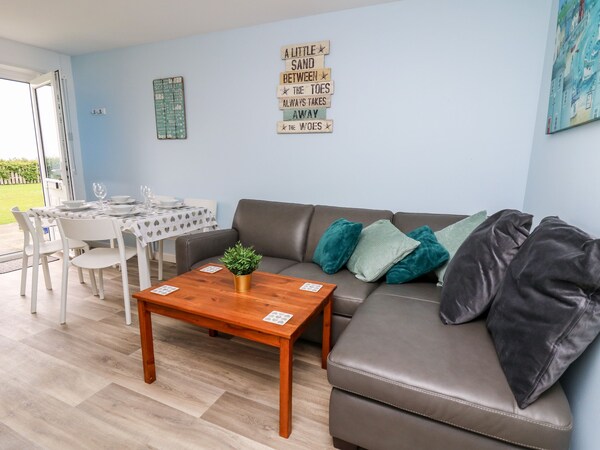 Cwtsh Cragen - New Quay