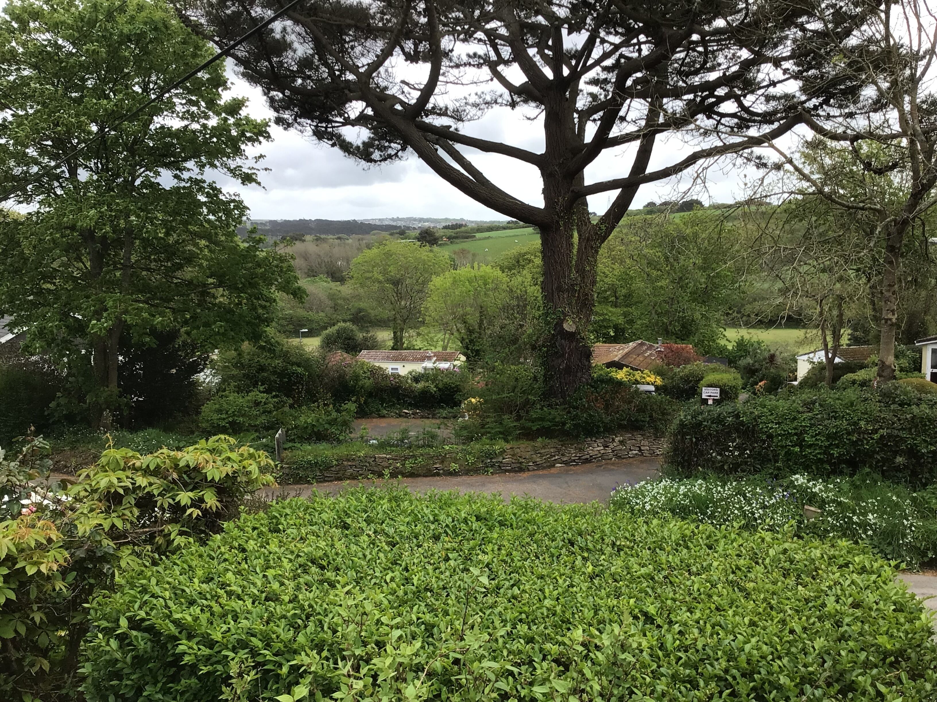 Estúdio | Área da propriedade