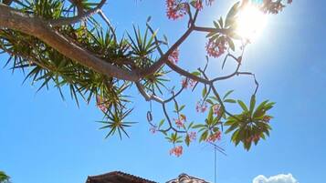 Terrenos do alojamento