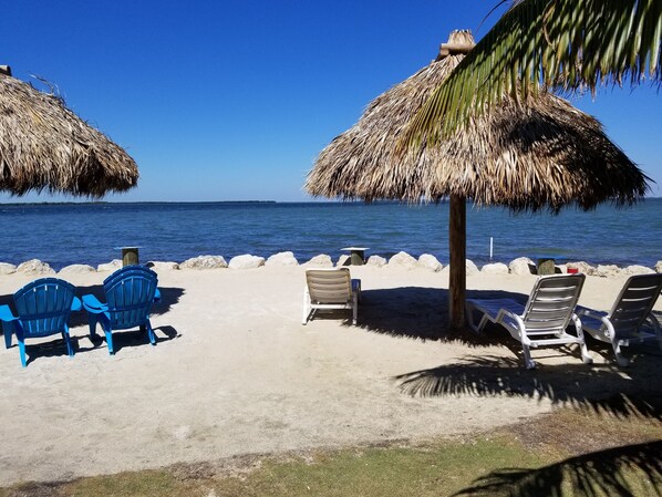 Uma praia privada, espreguiçadeiras