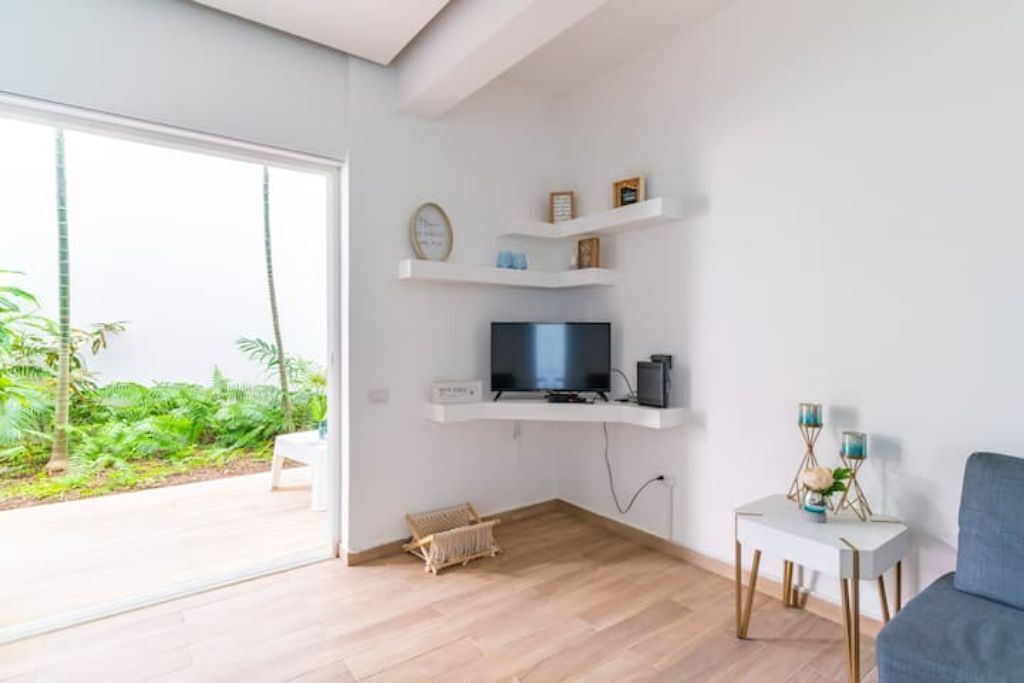 Blue Berry#105 - Dominican Republic