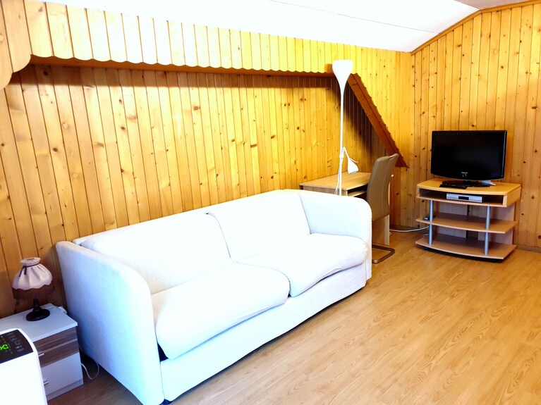 Natalya's Attic - Comfortable And Cozy Attic Apartment - Bellinzona