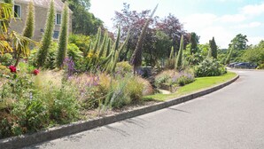 Uma rua residencial com uma casa à esquerda e um jardim com diversas plantas e flores.