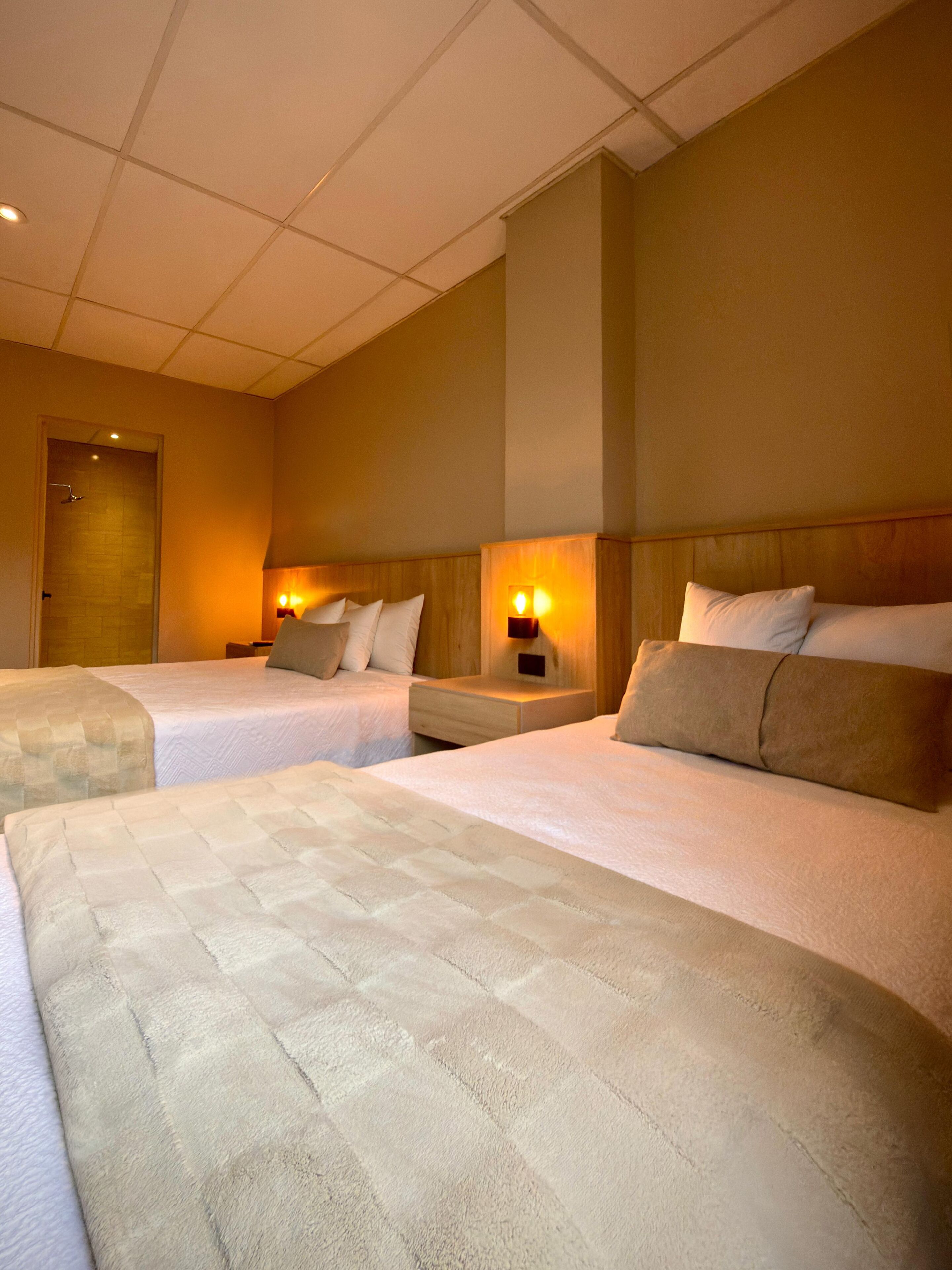 Classic Apartment Triple Room Queen / Twin | 1 quarto, roupa de alta qualidade, secretária 