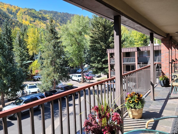 Deluxe Condo Only 4 Blocks To Gondola - Aspen