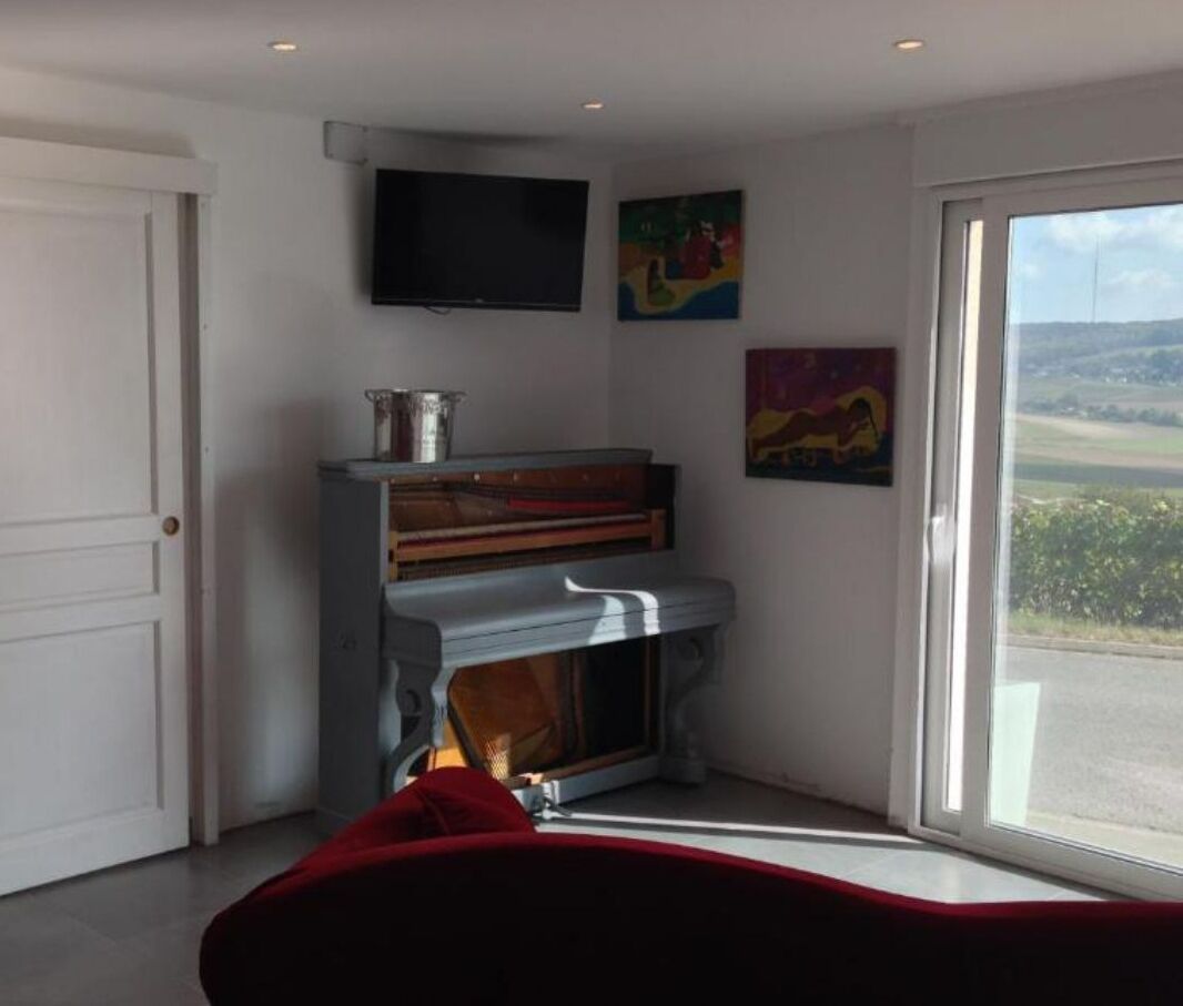 Apartment Facing The Champagne's Vineyards 1 Bedroom + 1 Bathroom - Épernay