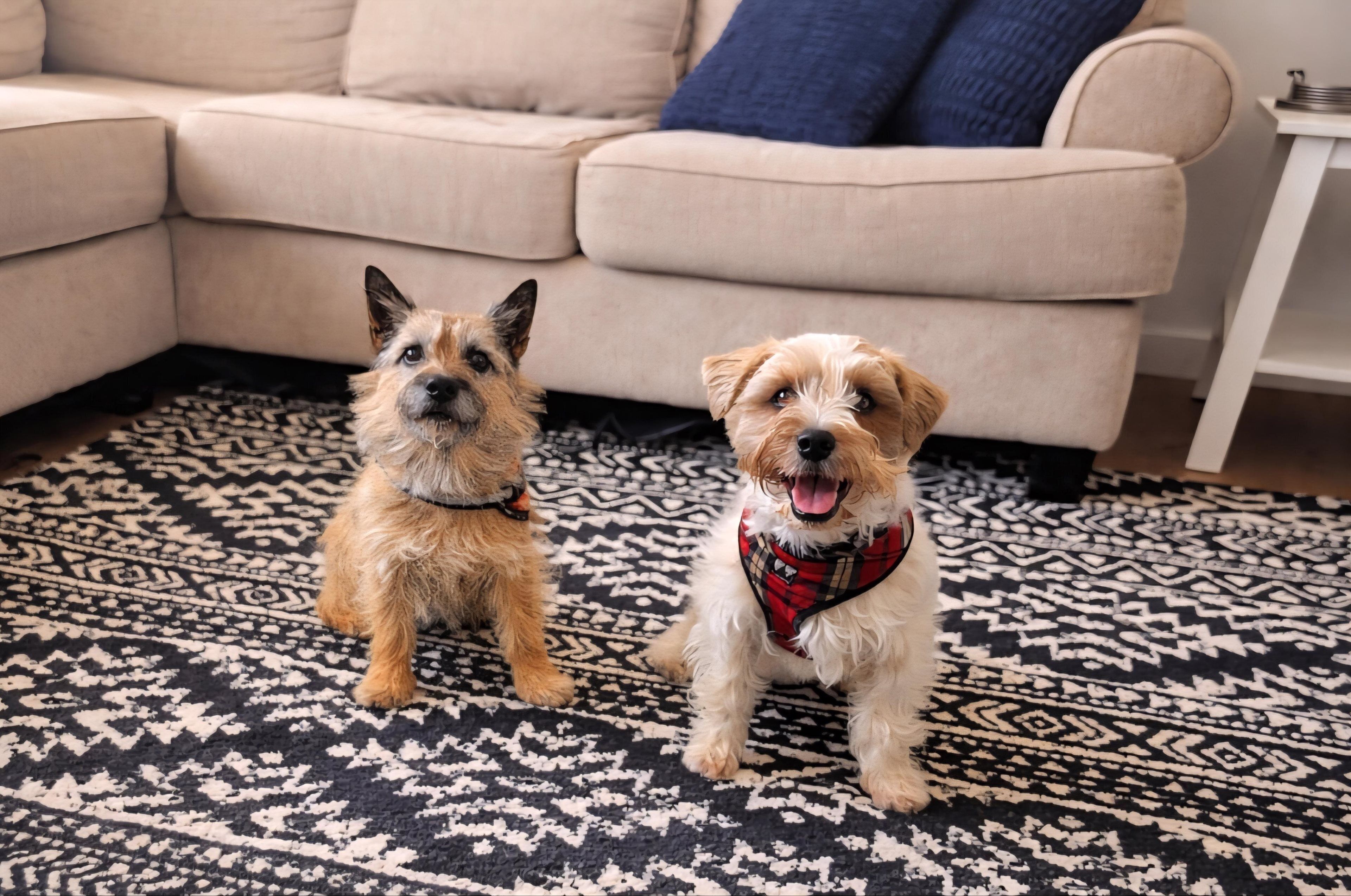 Dog Friendly|fenced|full Kitchen|firepit - Alpena, MI