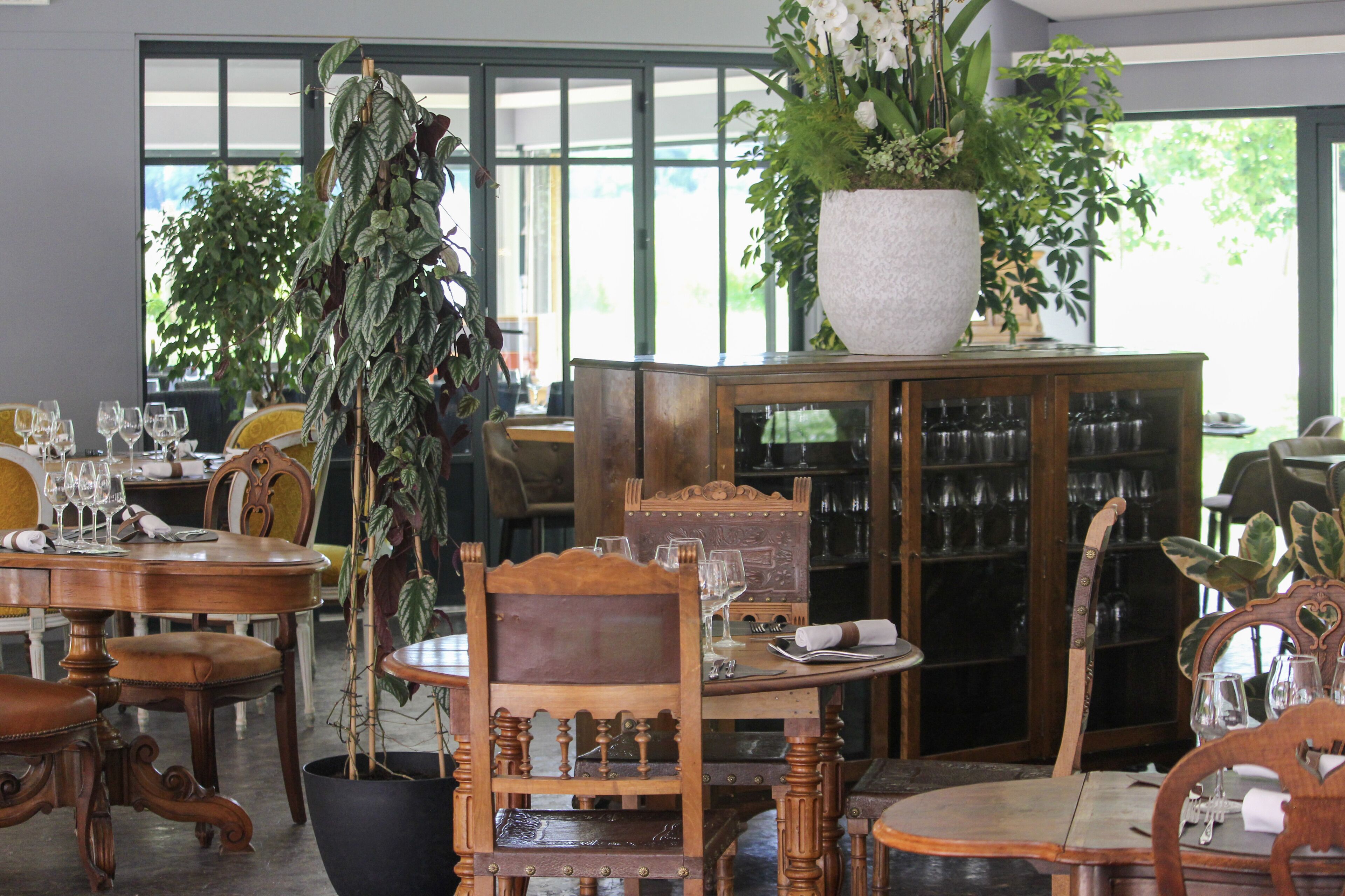 Uma sala de jantar com mobiliário de madeira, uma grande planta em vaso e um armário com portas de vidro.