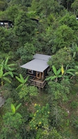 Uma casa-na-árvore moderna e isolada, com telhado plano, rodeada por folhagem tropical densa.