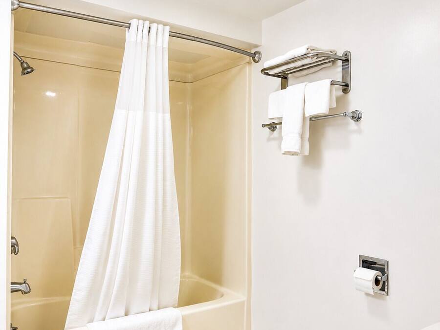 Toalhas de banho, sabonete, shampoo, papel higiênico