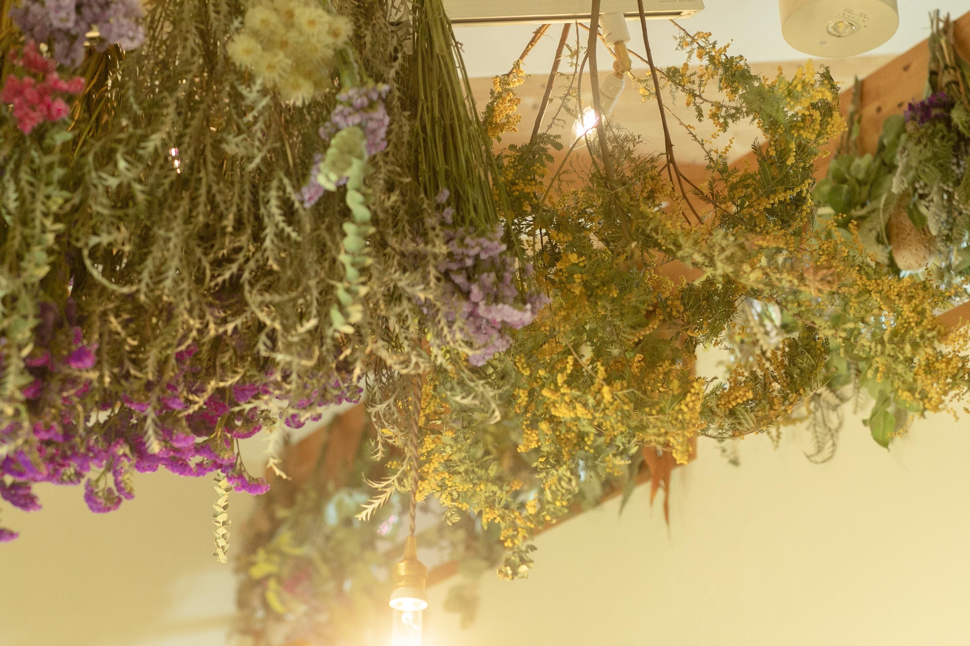 Quarto Básico | Sala de estar