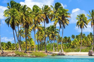 Perto da praia, areia branca, 20 bares na praia 