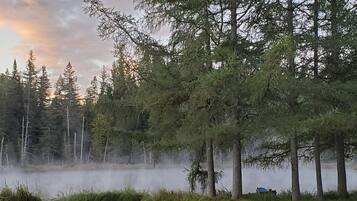Uma área arborizada com um lago, árvores e um primeiro plano gramado.