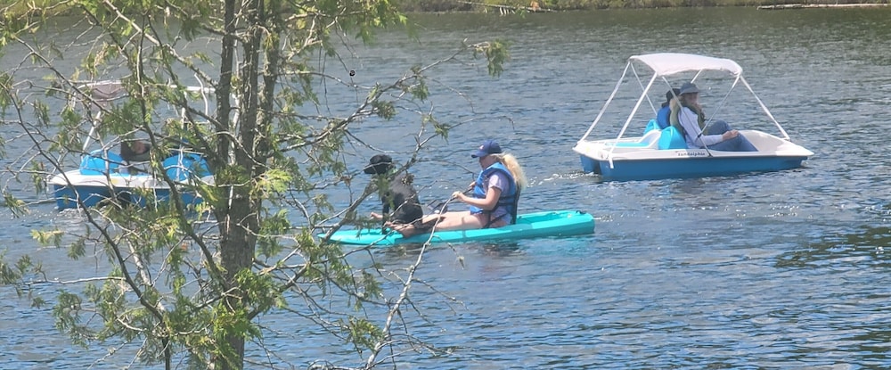 Ladd Pond Cabins And Campground - New Hampshire (State)