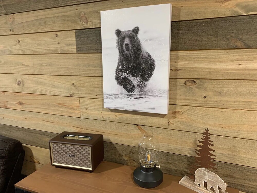 Amazing Mountain Views-quiet & Cozy - Tennessee