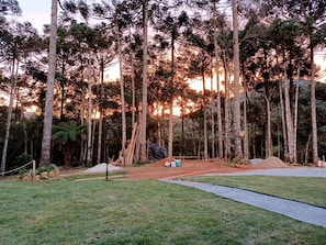 Uma área arborizada com uma trilha de terra e alguns materiais de construção.