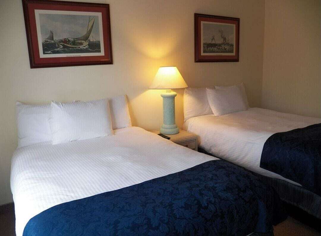 Ferros/tábuas de passar roupa, Wi-Fi de cortesia, roupa de cama