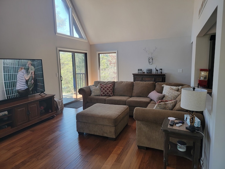 Secluded Chalet In The Woods Overlooking A Huge Pond And Only 5 Minutes To Town. - Michigan