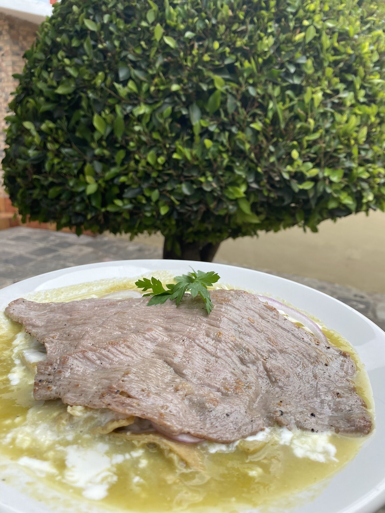 Prato de comida com carne e um enfeite por cima, colocado sobre uma mesa com uma pequena árvore ao fundo.