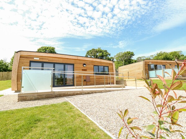 Syrah - Isle of Wight