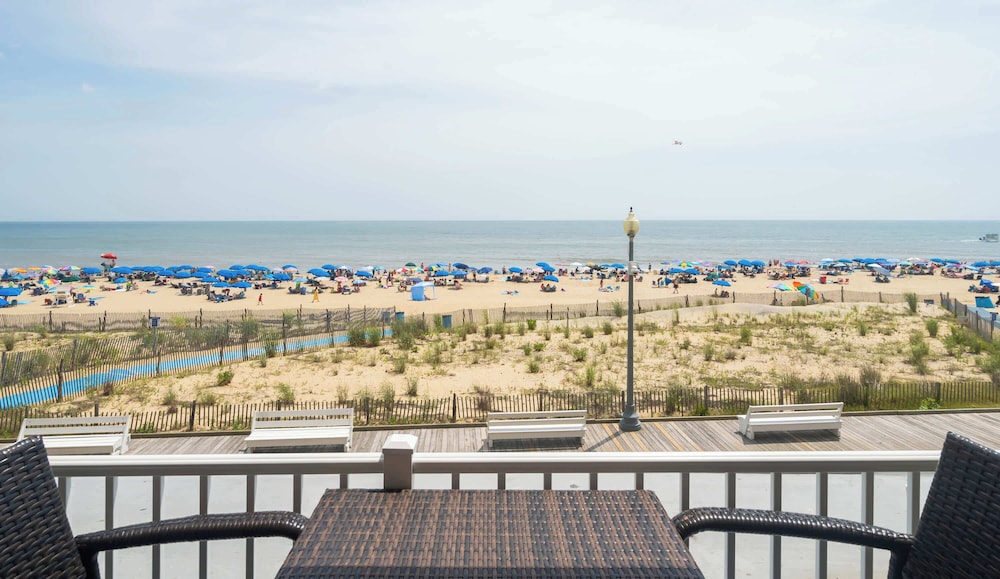 Seaside Star On The Boardwalk! - Rehoboth Beach, DE