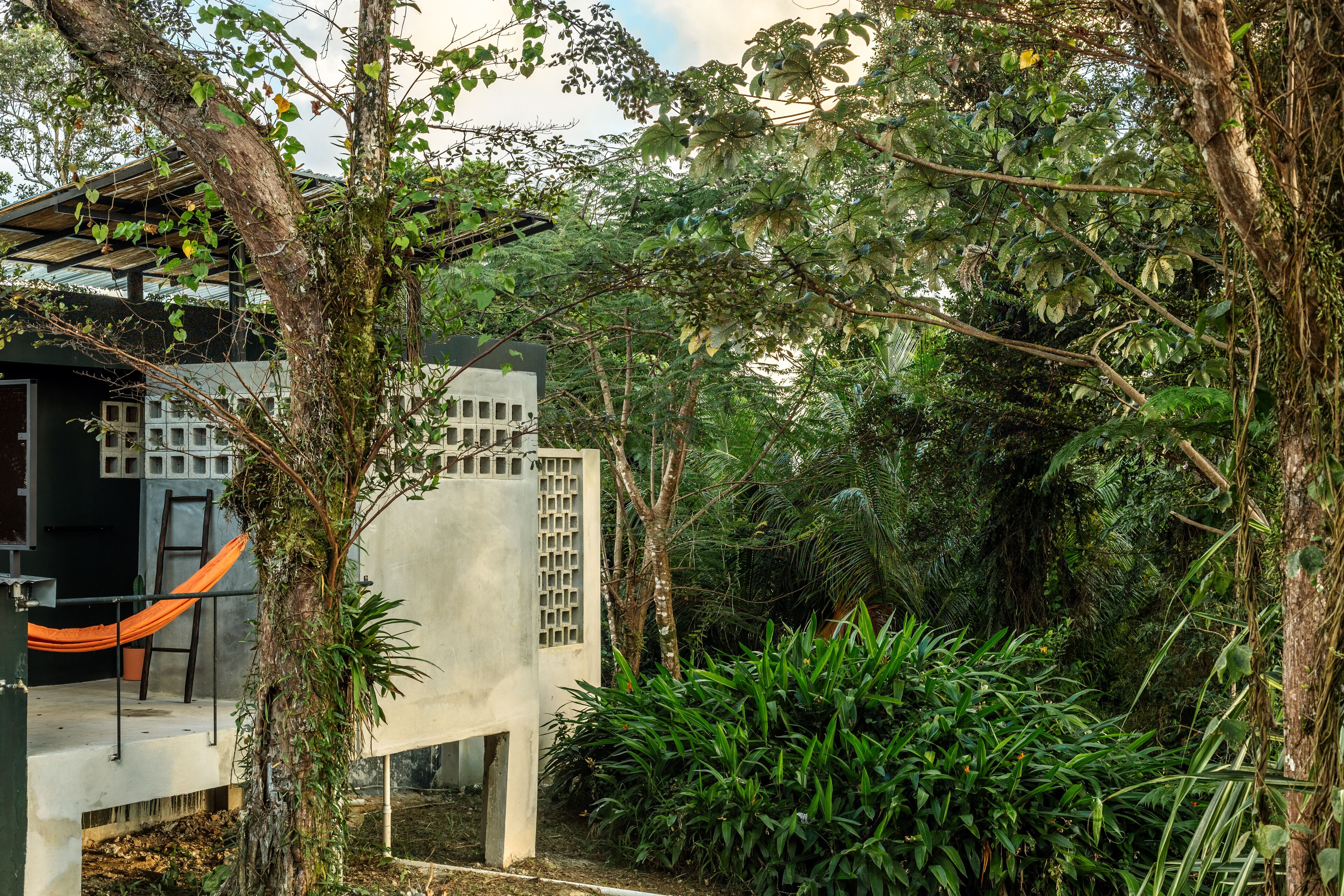 Um edifício moderno com fachada de concreto, cercado por vegetação tropical exuberante.