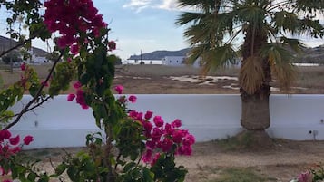 Villa | Terrenos do alojamento