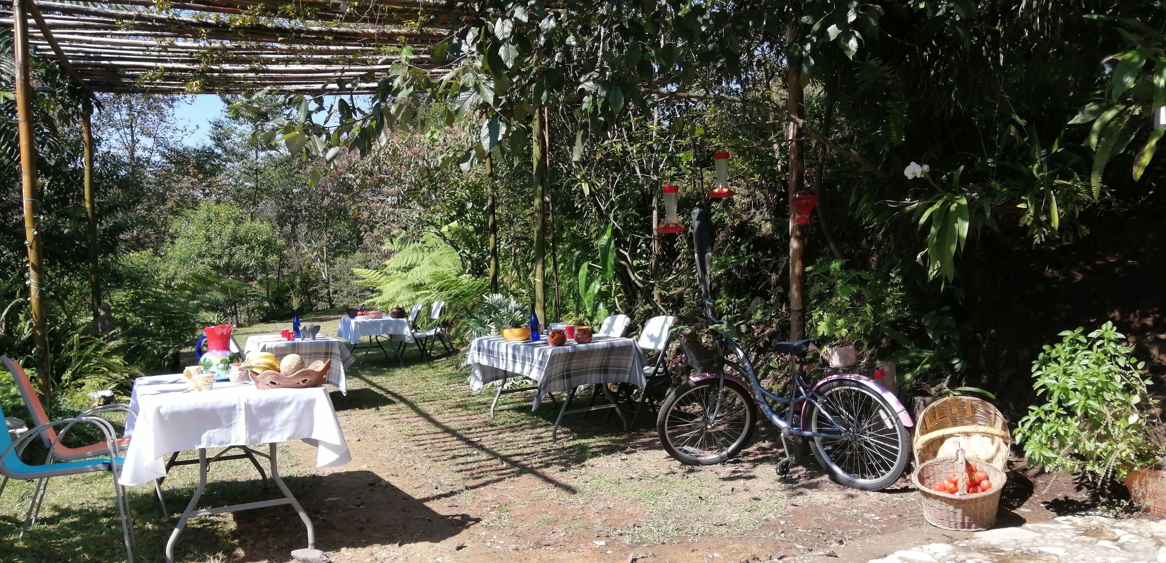 Uma área de refeições ao ar livre com mesas dispostas sob uma pérgola de bambu, rodeada por vegetação exuberante.