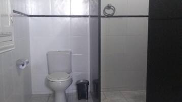 Casa de banho com sanita, um pequeno contentor de lixo, cabine de duche em vidro e um tapete de boas-vindas verde.