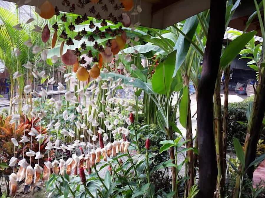 Jardim