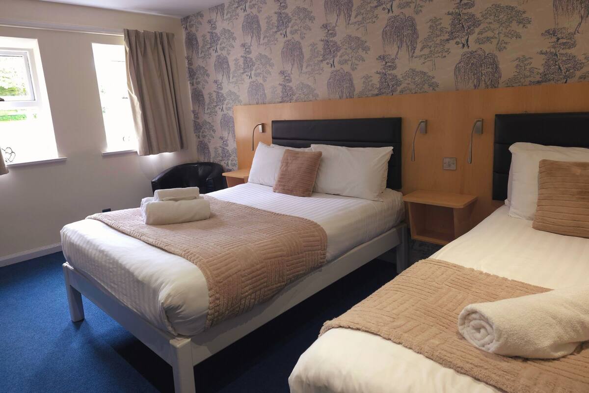 Quarto de hotel com duas camas, janela com cortinas, uma cadeira e parede com padrão de árvore.