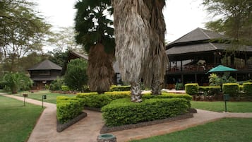 Jardim